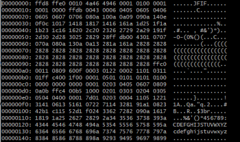 Linux下vim文本编辑器小技巧：让vim以16进制HEX方式查看文件 - AndyX.Net - 安迪克斯